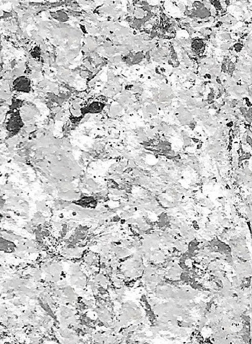 Multispec – Resurface Solutions