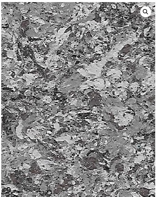 Multispec – Resurface Solutions