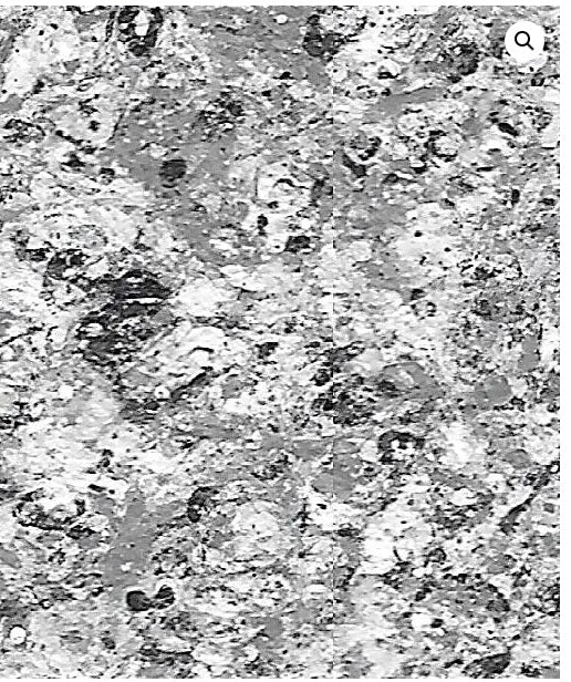 Multispec – Resurface Solutions